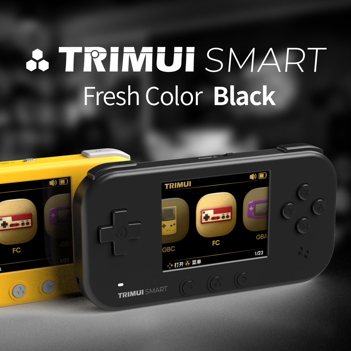 TRIMUI Smart Pro – Trimui Store